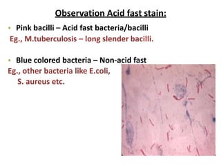 All staining techniques | PPT