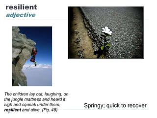 All summer in a day vocab. | PPTX