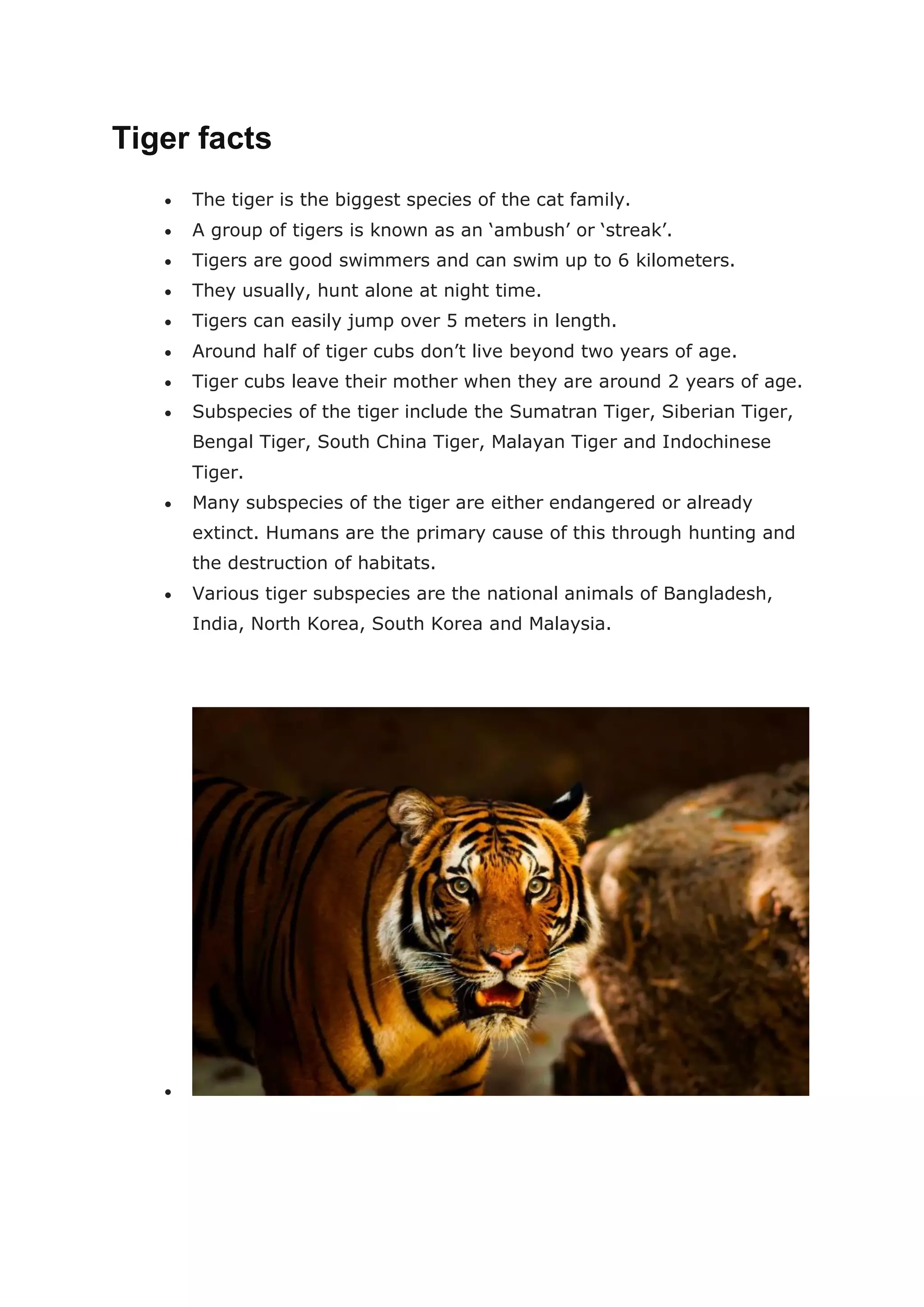 All the animal facts for your child | PDF