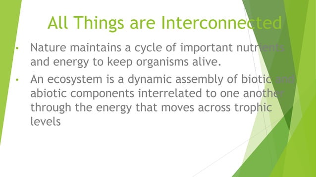 All Things are Interconnected.pptx