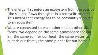 All Things are Interconnected.pptx