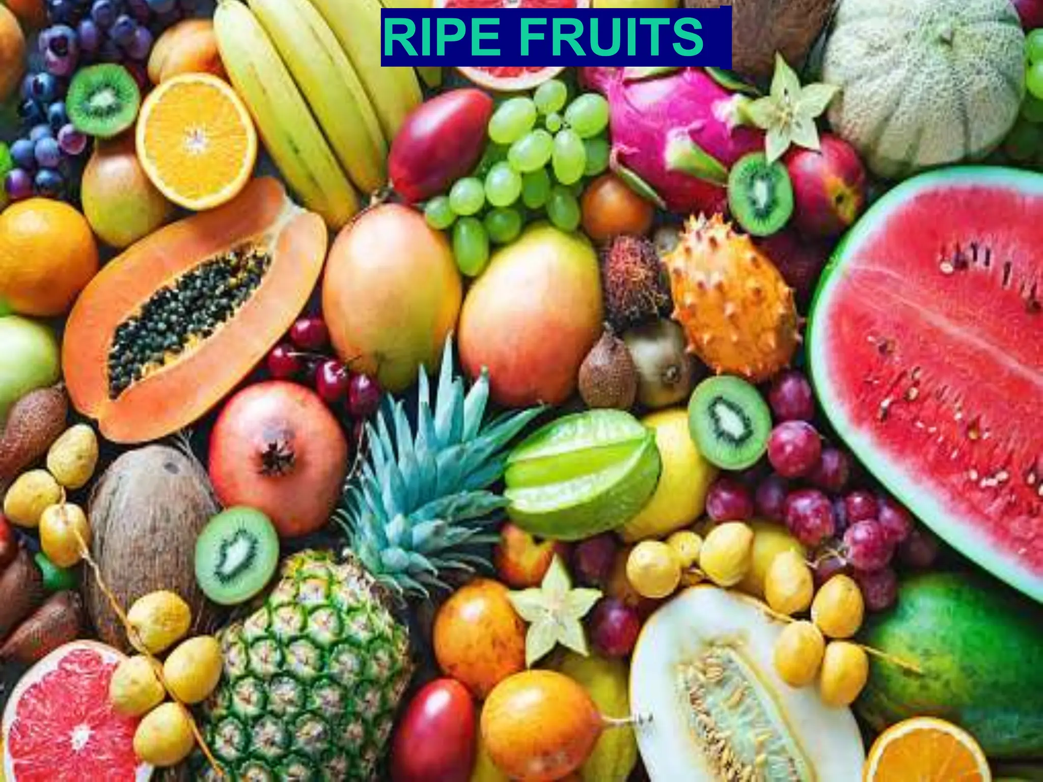 ALL THINGS BRIGHT AND BEAUTIFUL - POEM WRITTEN BY C.F. ALEXANDER | PPTX