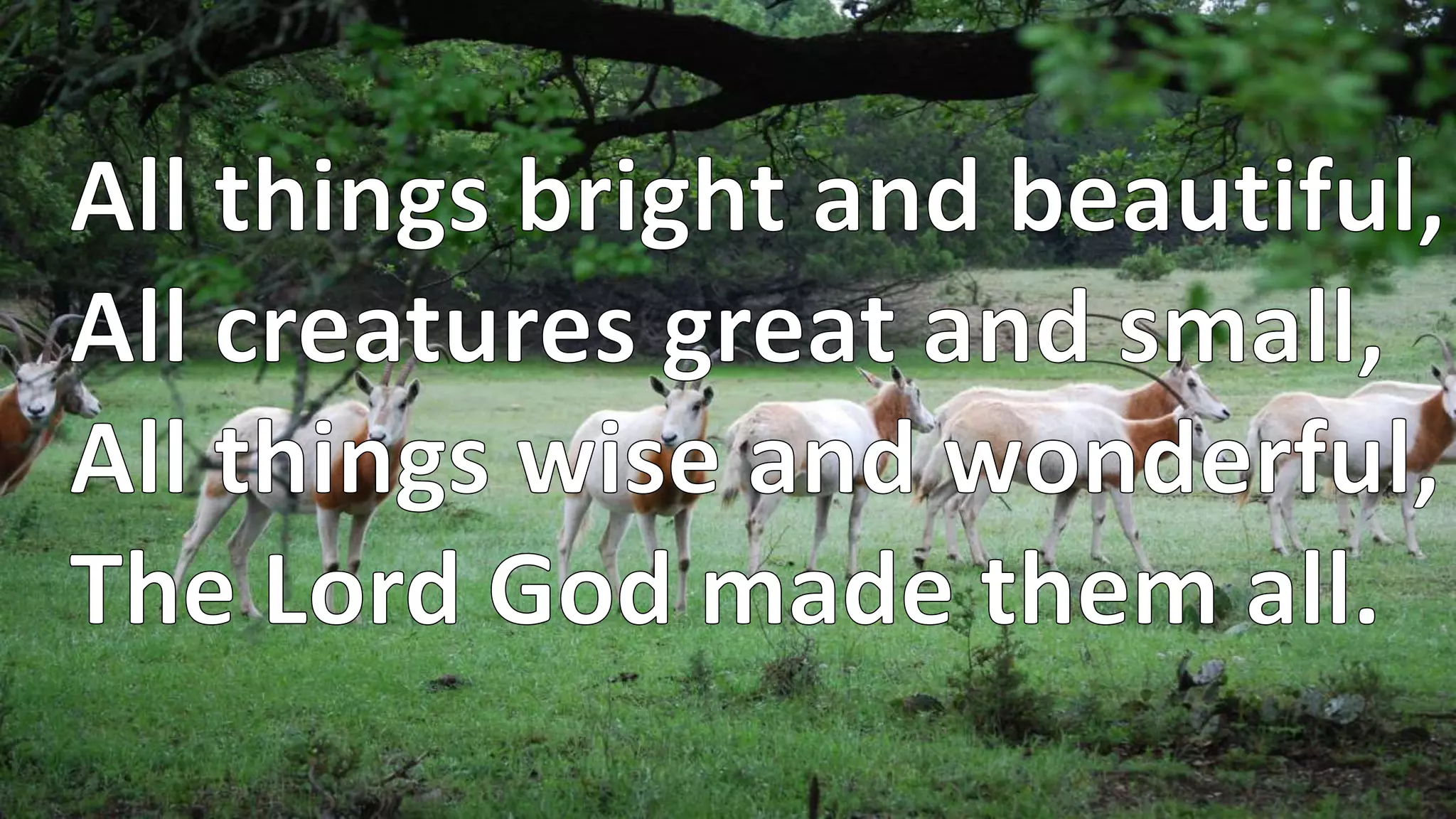 all things bright and beautiful.pptx