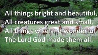 all things bright and beautiful.pptx