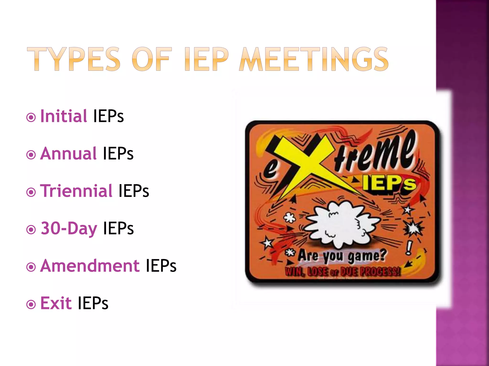 The BASICS of the IEP PROCESS | PPTX