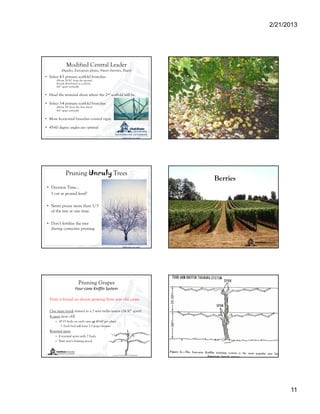 All Things Pruning | PDF
