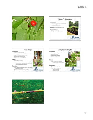 All Things Pruning | PDF