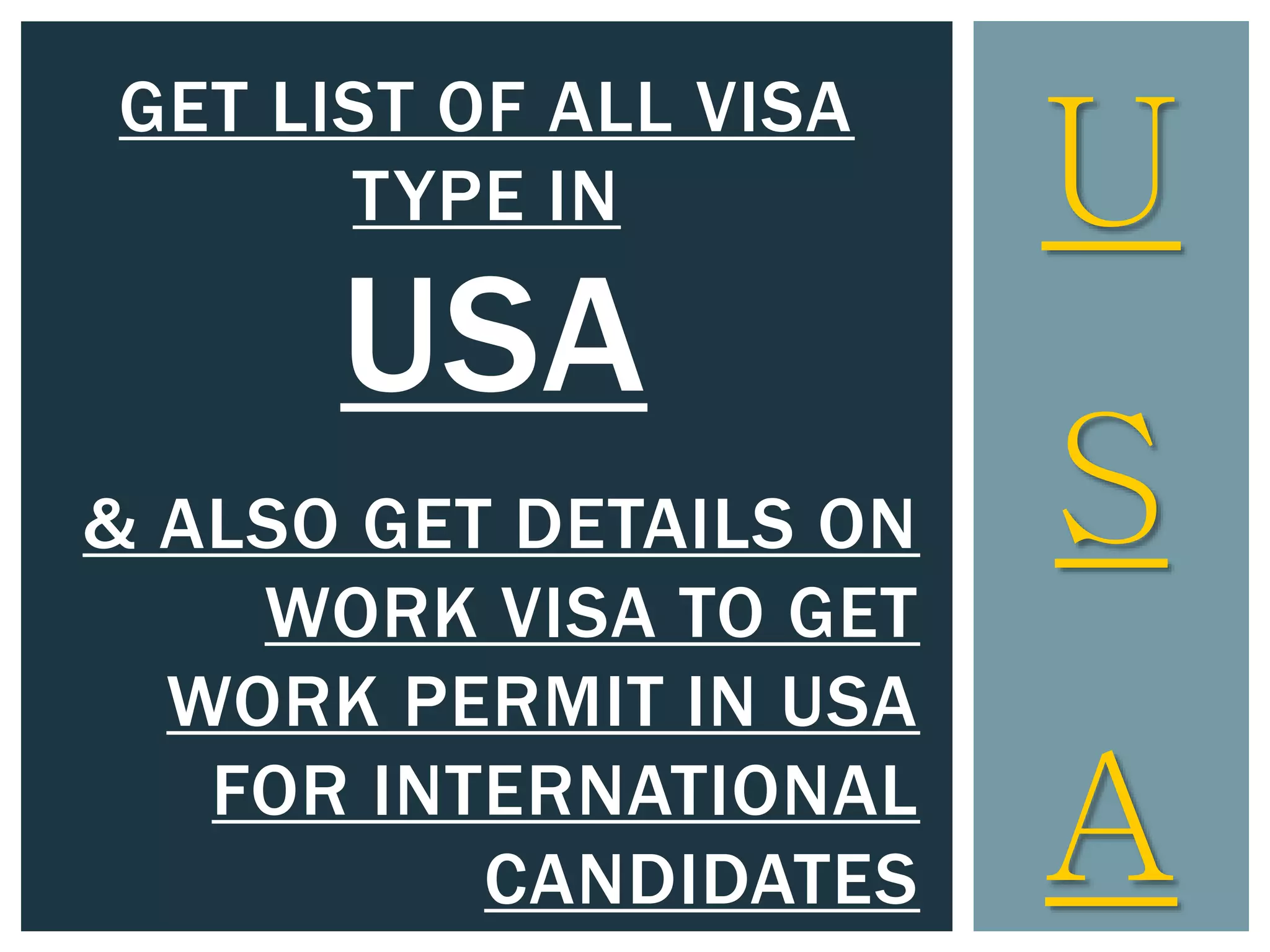 All types of visa in USA get details on working visa | PPTX
