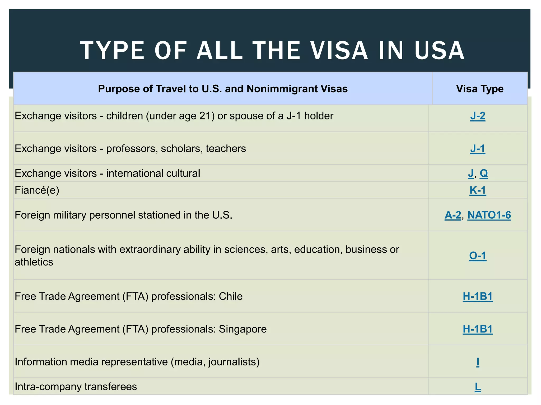 All types of visa in USA get details on working visa | PPTX
