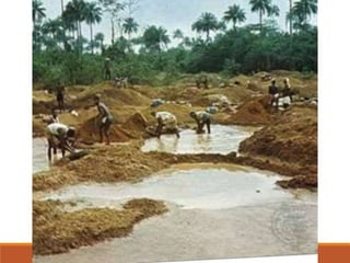 Alluvial mining in geology based | PPTX