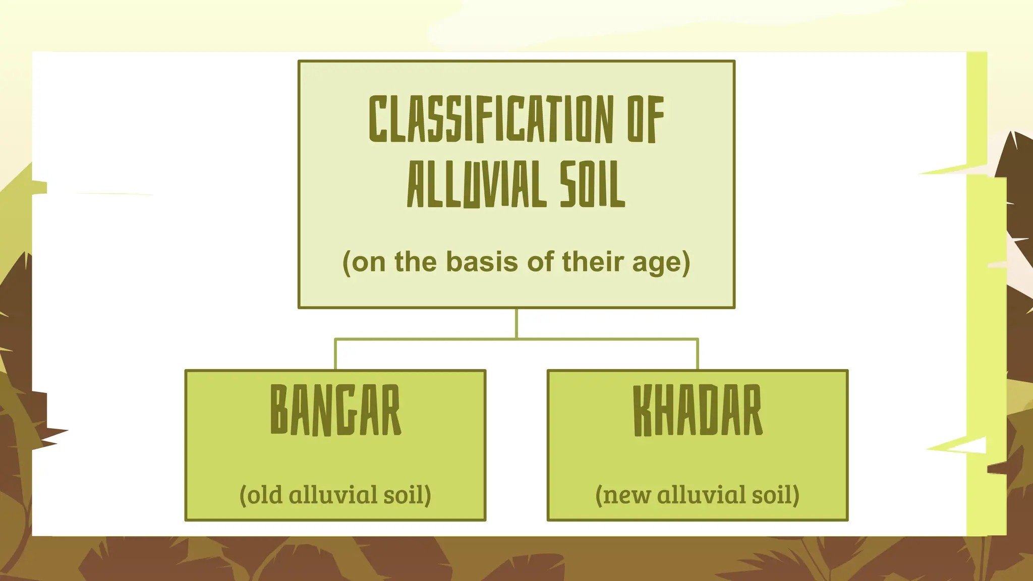 Alluvial Soil.pptx