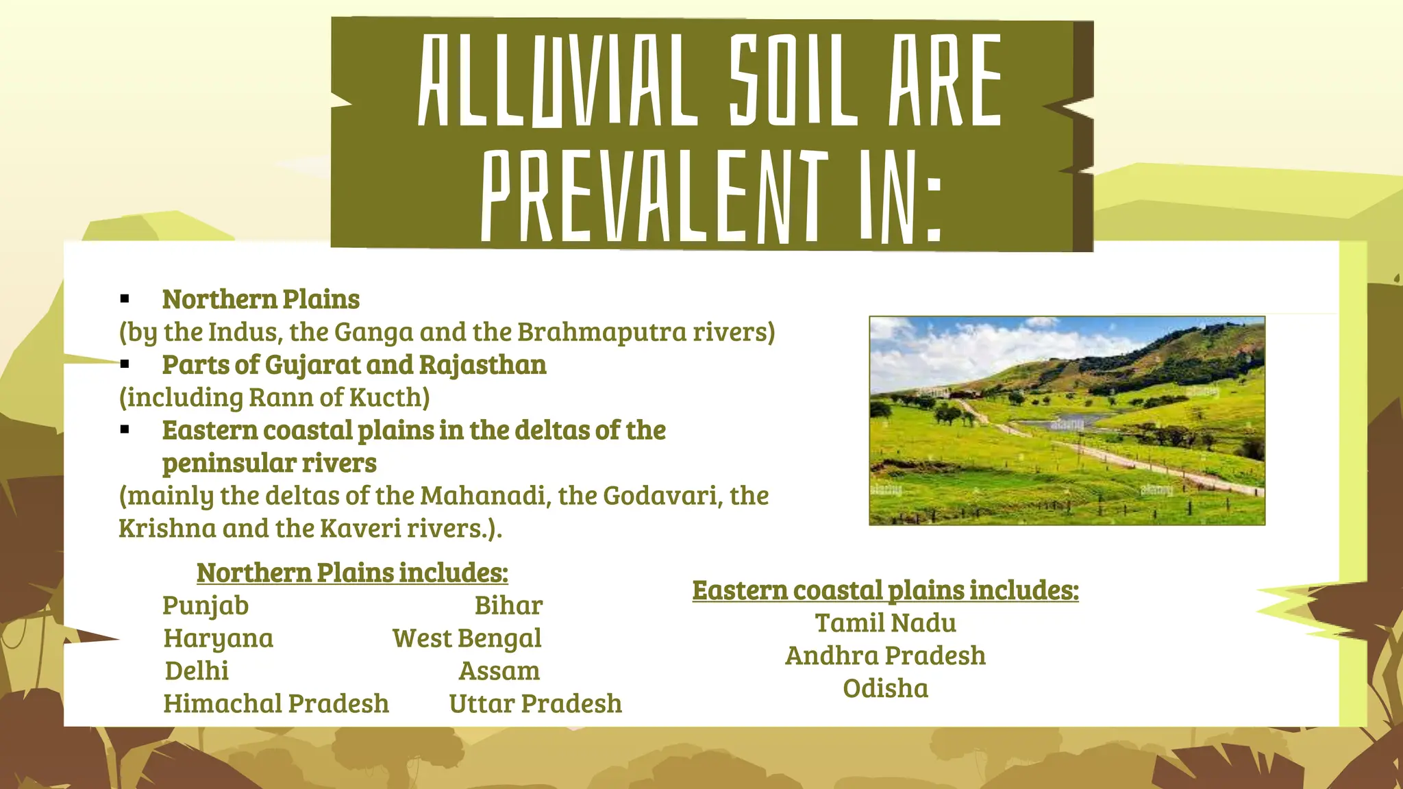 Alluvial Soil.pptx