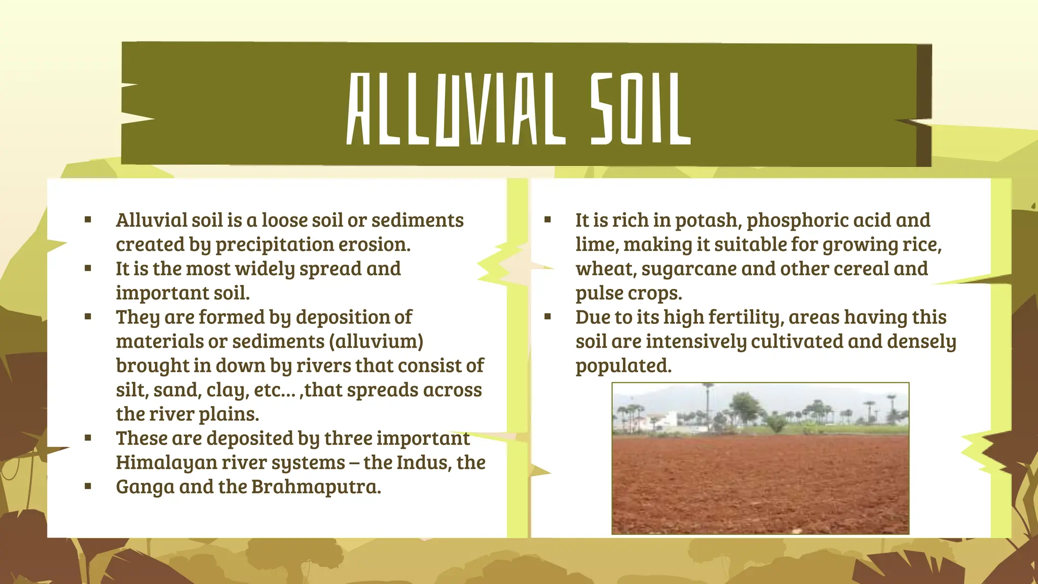 Alluvial Soil.pptx