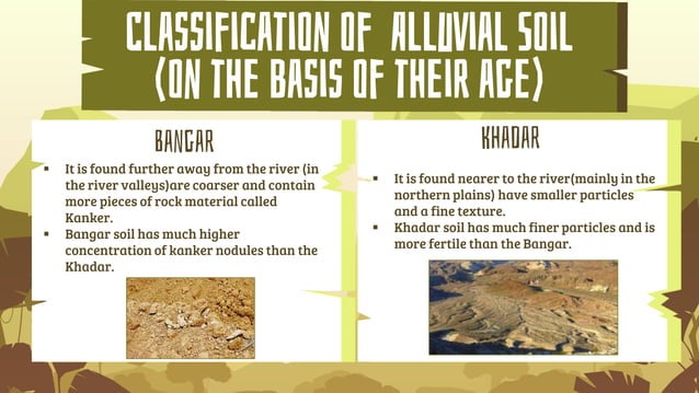 Alluvial Soil.pptx | Geography | Science