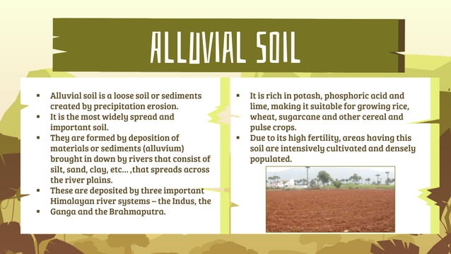 Alluvial Soil.pptx | Geography | Science
