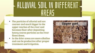 Alluvial Soil.pptx