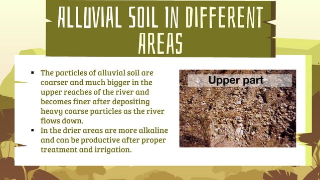 Alluvial Soil.pptx | Geography | Science
