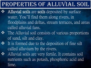 Alluvial Soil Profile