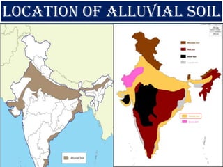 Alluvial soil ppt.pdf