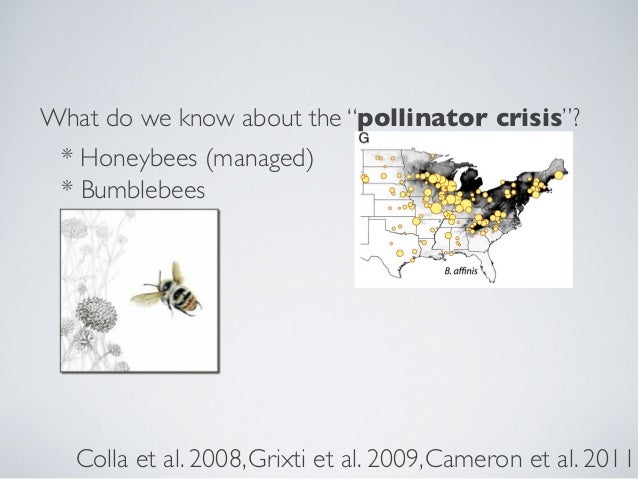 Pollination Declines- SLU talk
