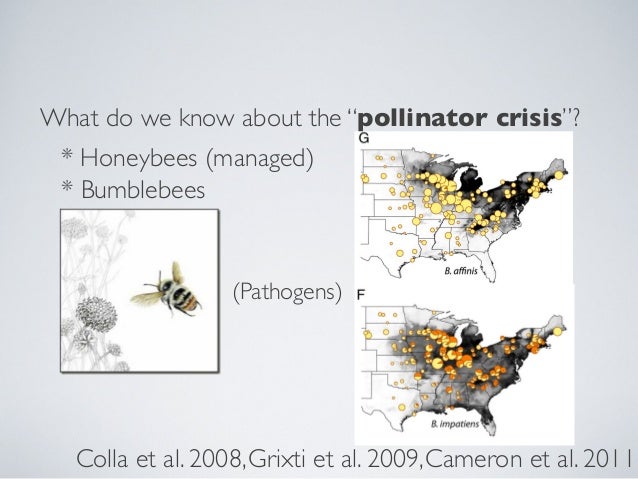 Pollination Declines- SLU talk