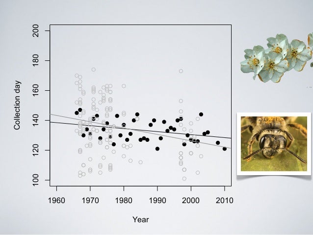 Pollination Declines- SLU talk