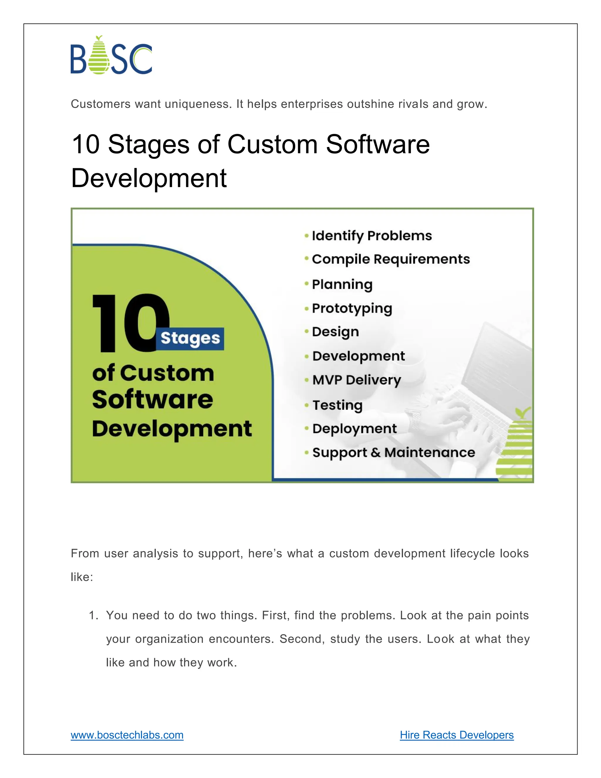 All You Need To Know About Custom Software Development | PDF