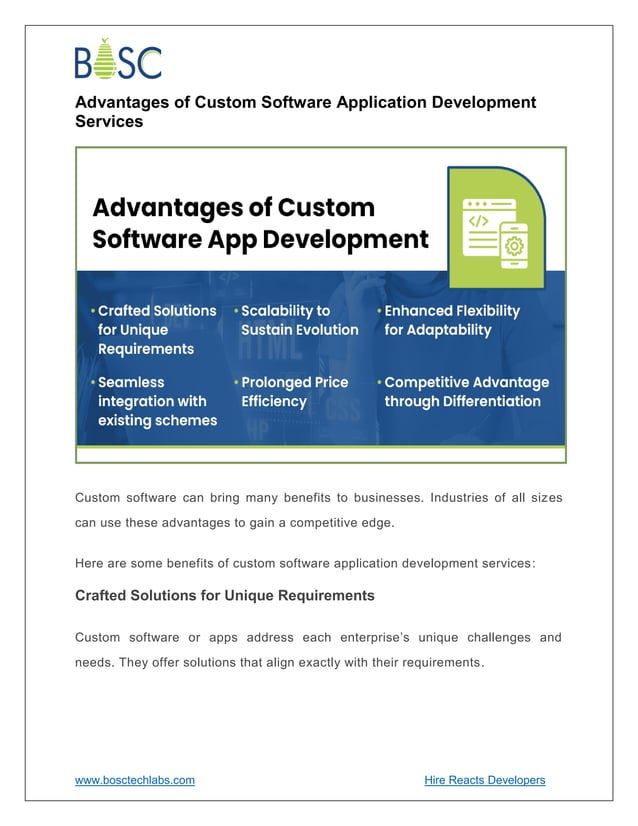 All You Need To Know About Custom Software Development | PDF