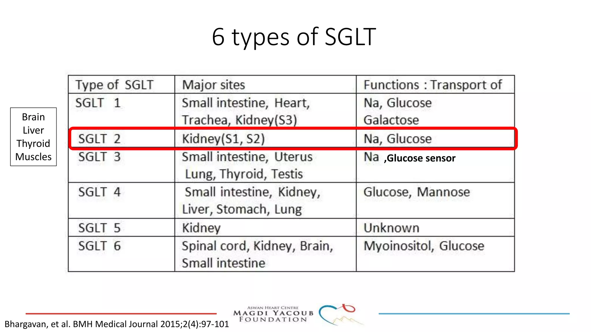 SGLT2 inhibitors | PPTX