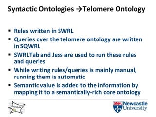 Annotation of SBML Models Through Rule-Based Semantic Integration | PPT