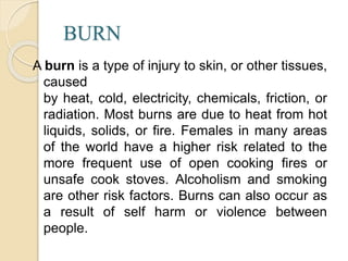Burns | PPTX