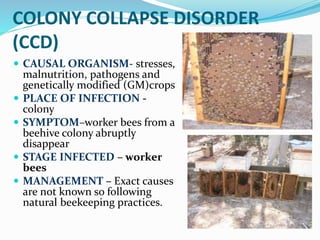 Apiculture and its application in the agriculture | PPT