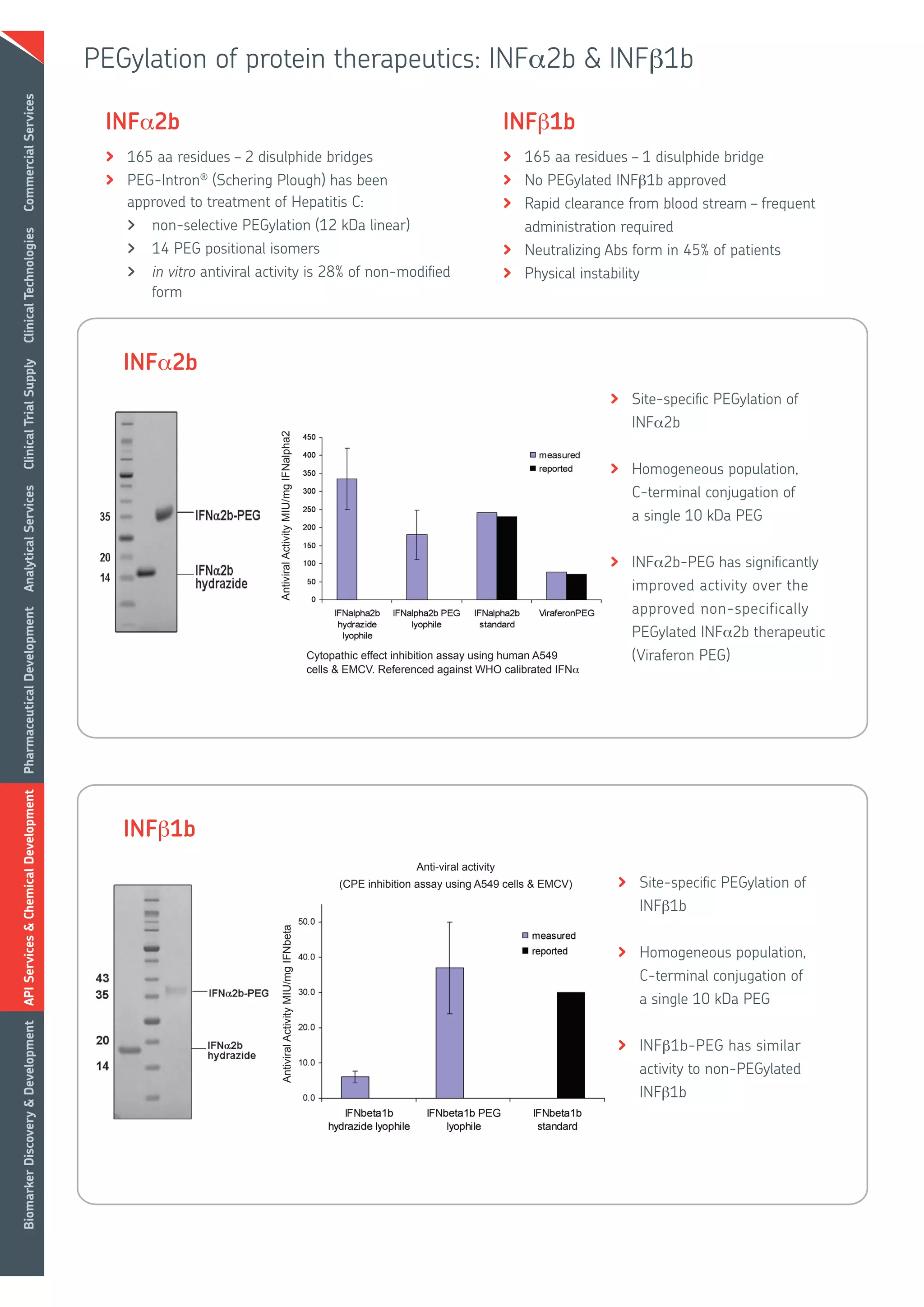 Almac Protein Labelling Technology | PDF | Biotech and Biomedical Industry | Industries