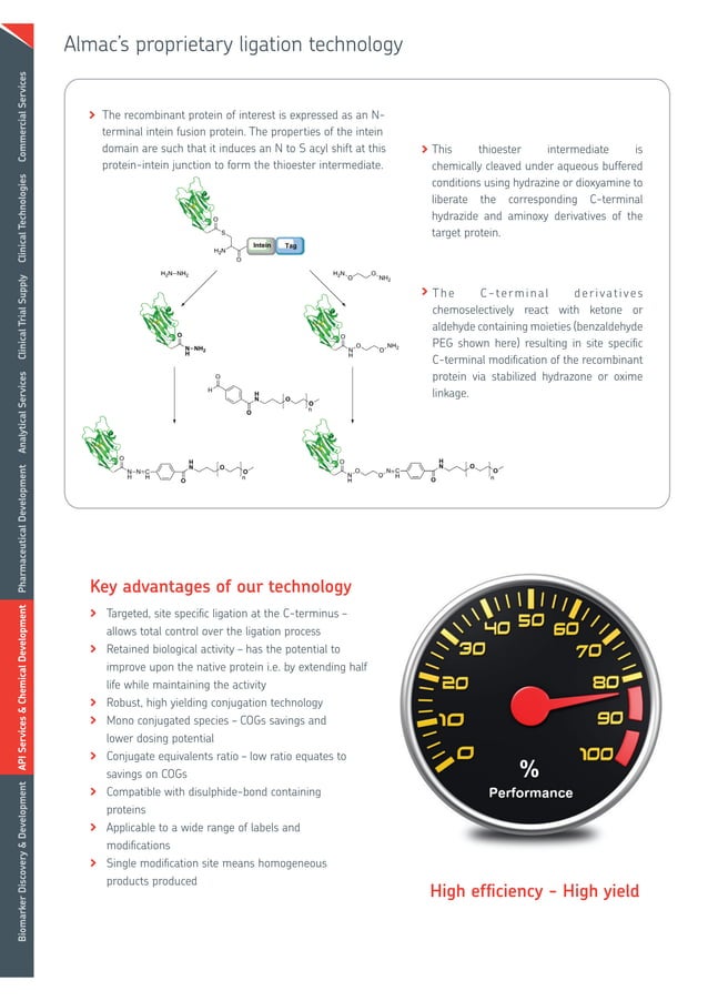 Almac Protein Labelling Technology | PDF | Biotech and Biomedical Industry | Industries