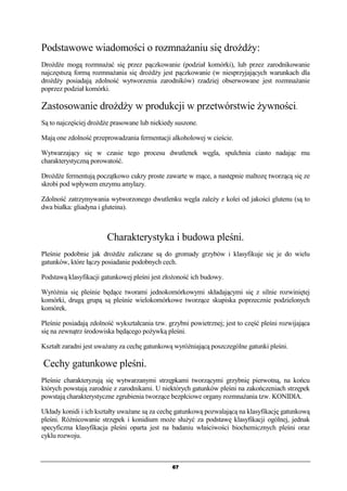 Almanach Cukierniczo Piekarski | PDF