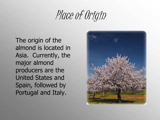 Almendra2 ingles | PPT