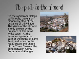 Almendra2 ingles | PPT