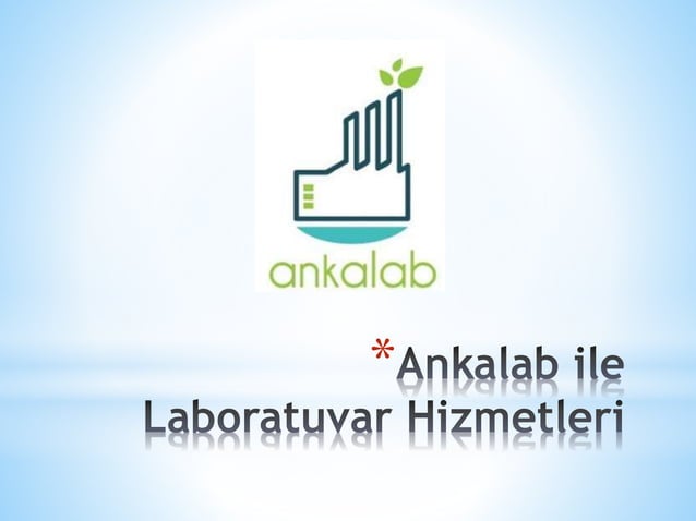 Almer group sunum | PPTX