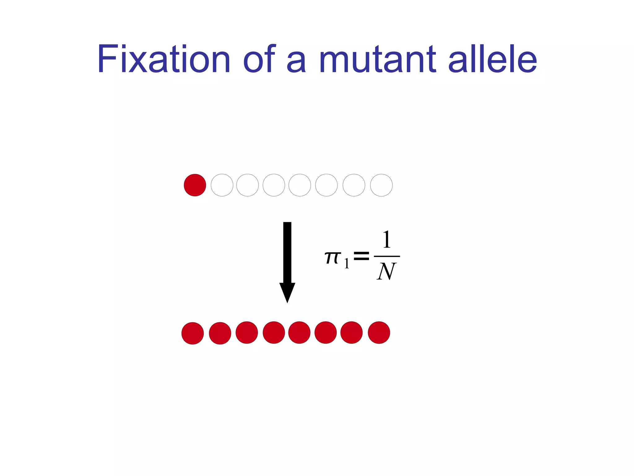 Mathematical models of evolution | PPT