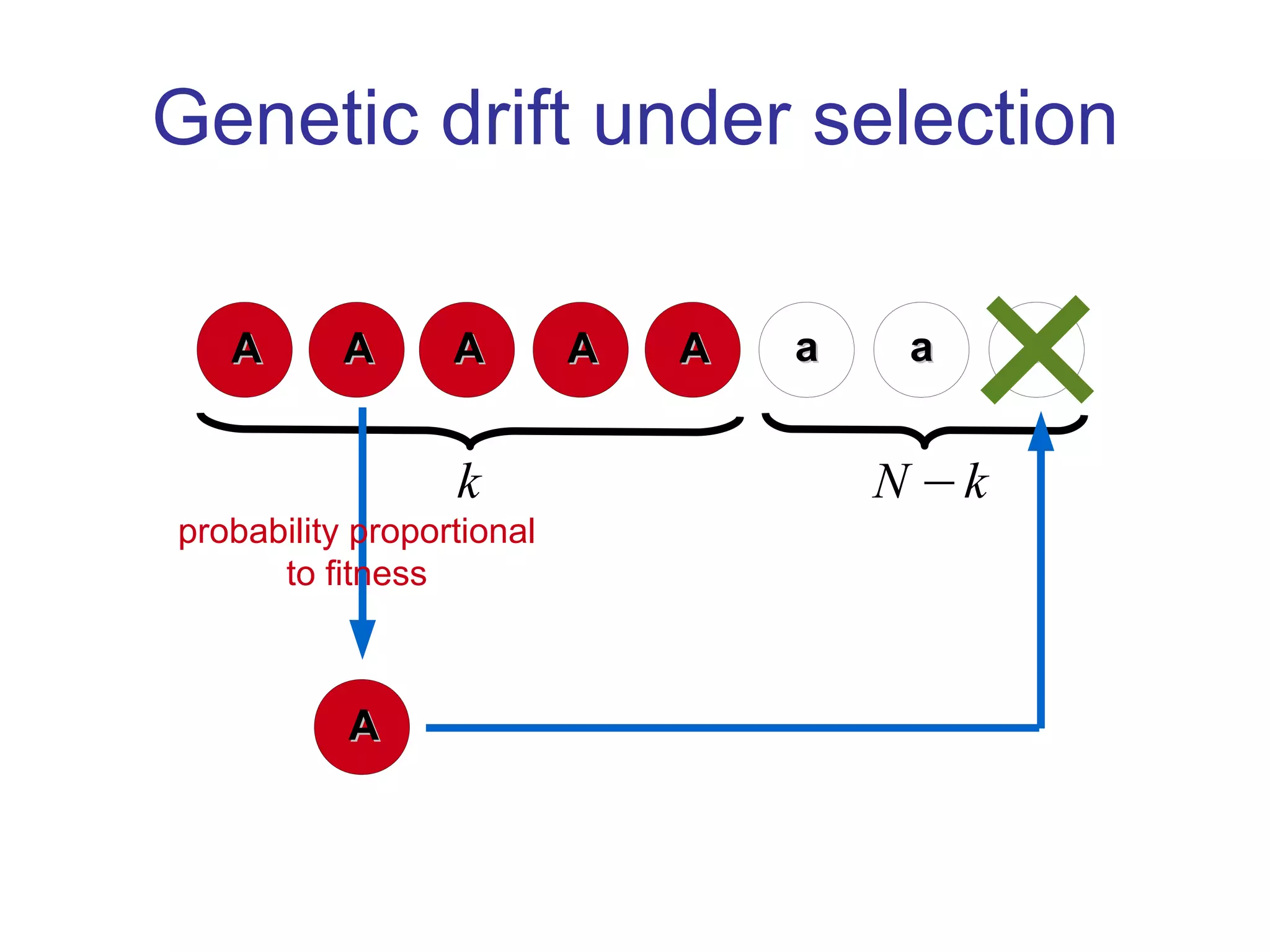 Mathematical models of evolution | PPT