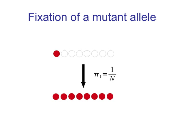 Mathematical models of evolution | PPT