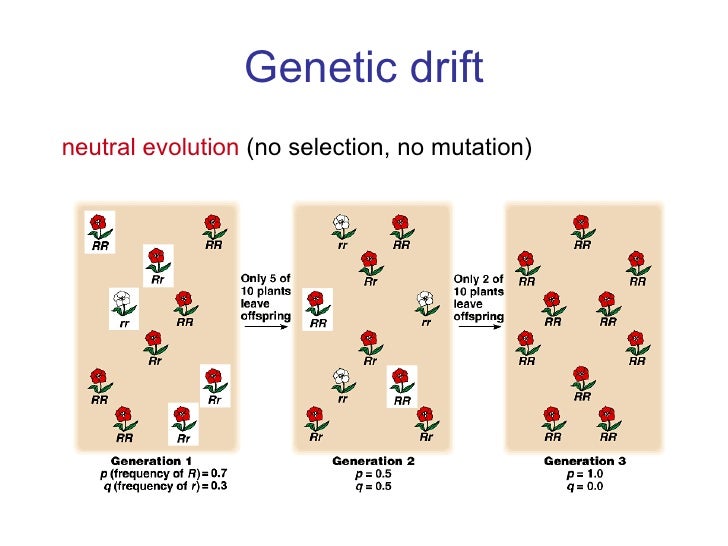 Mathematical models of evolution