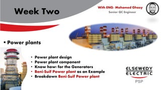 Elsewedy Electric PSP presentation | PPTX