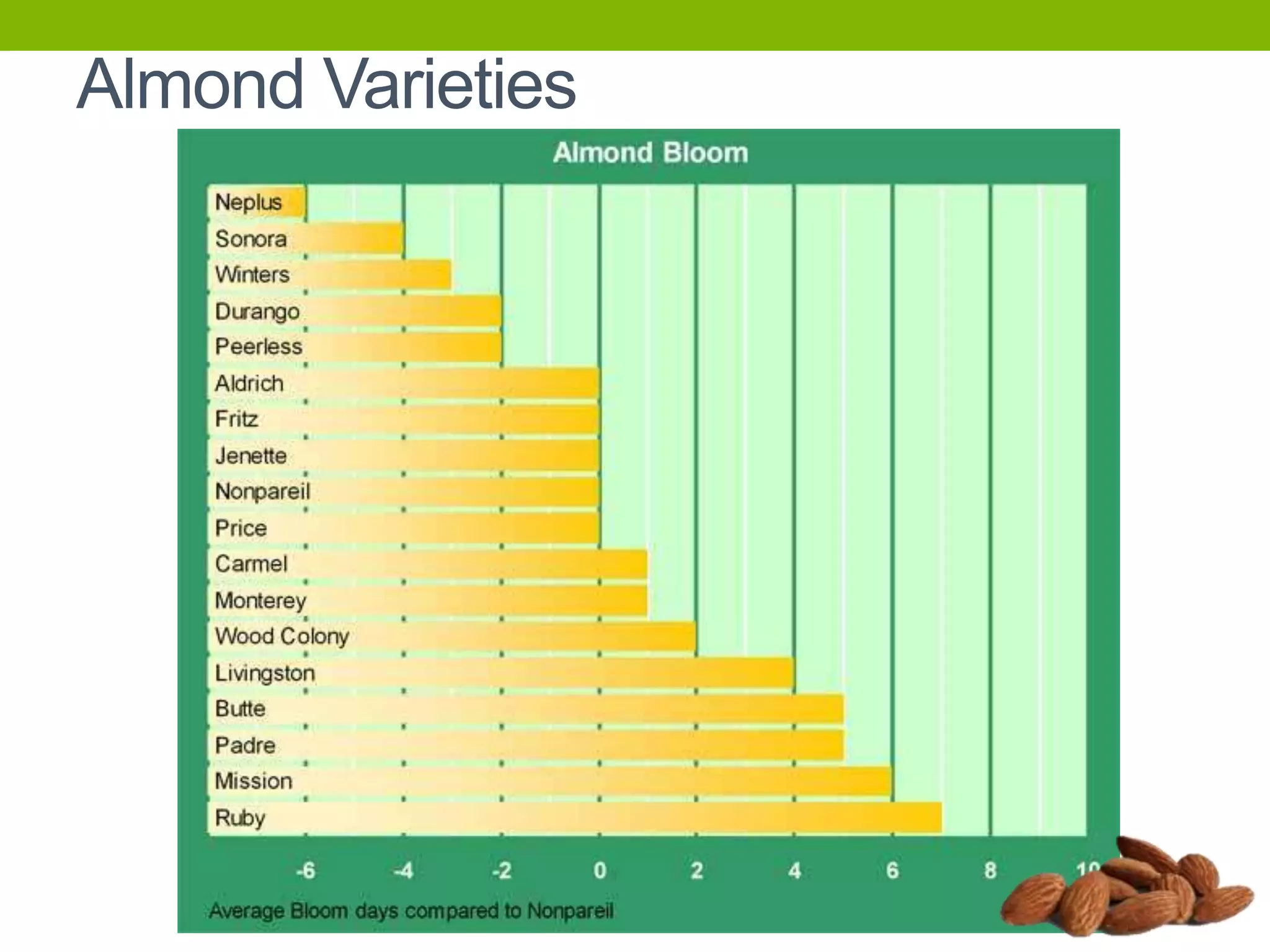 Almond Presentation.pptx