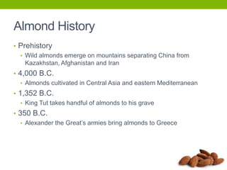 Almond Presentation.pptx