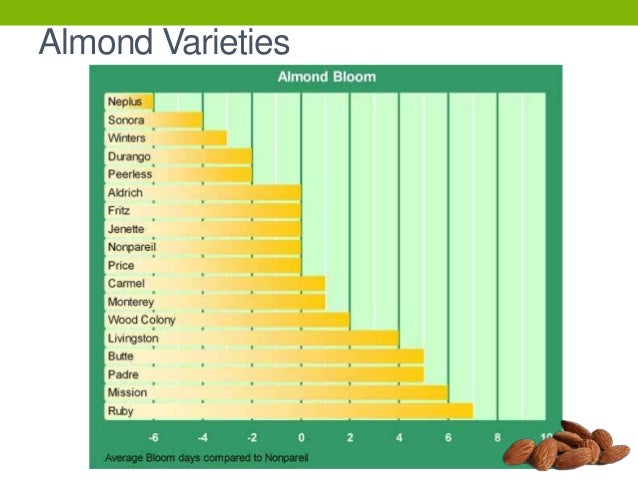 Almond Presentation.pptx