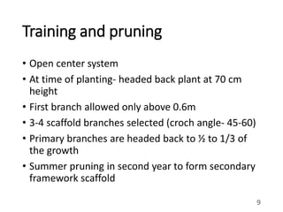 almond-210402162605.pdf