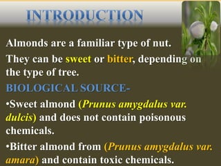 Almond by prashant | PPTX