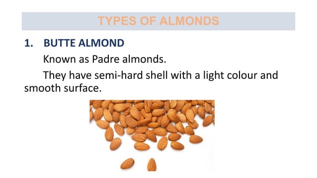 ALMOND final-1.pptx