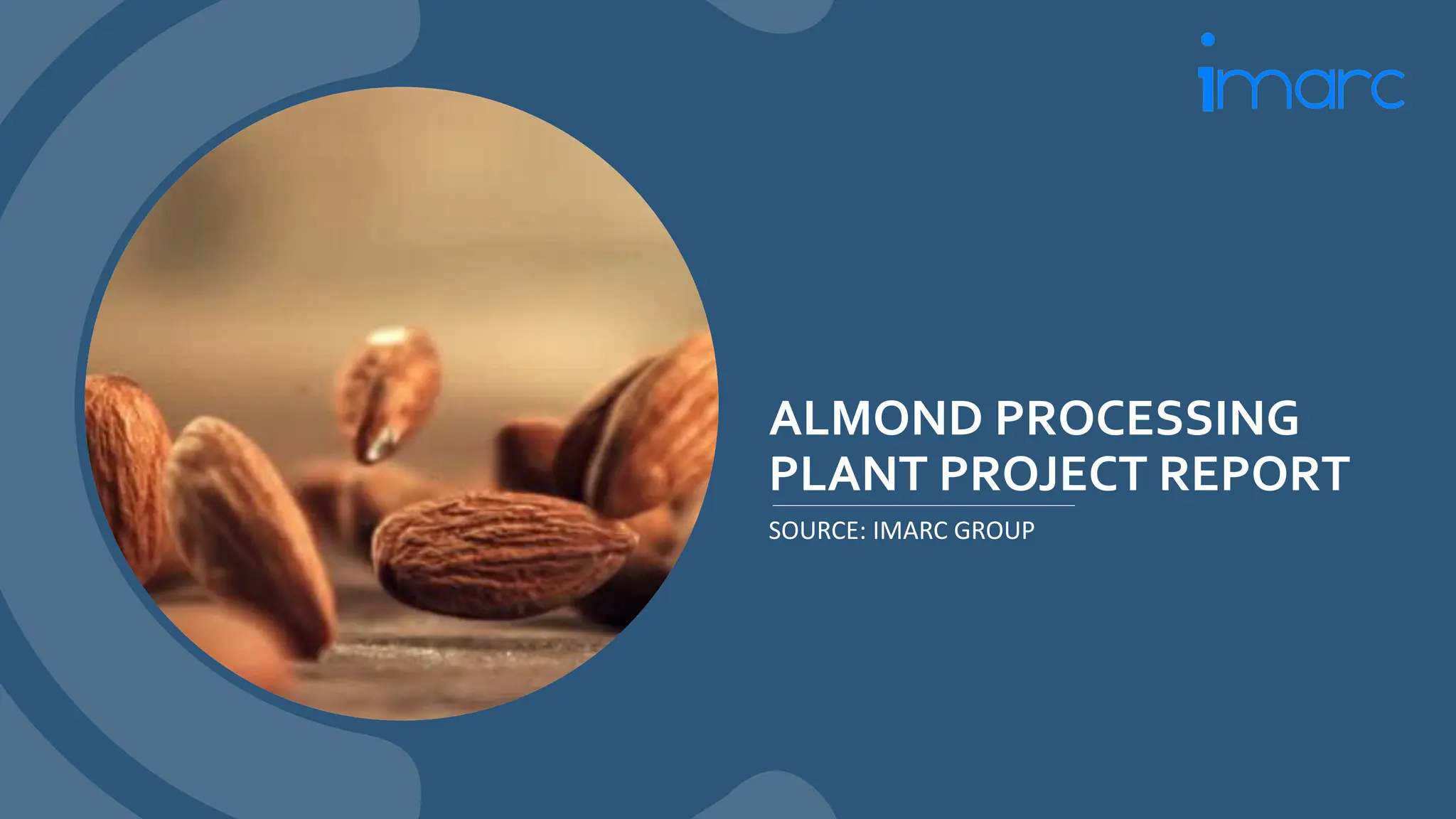 Setting Up an Almond Processing Plant Project Report 2024.pdf
